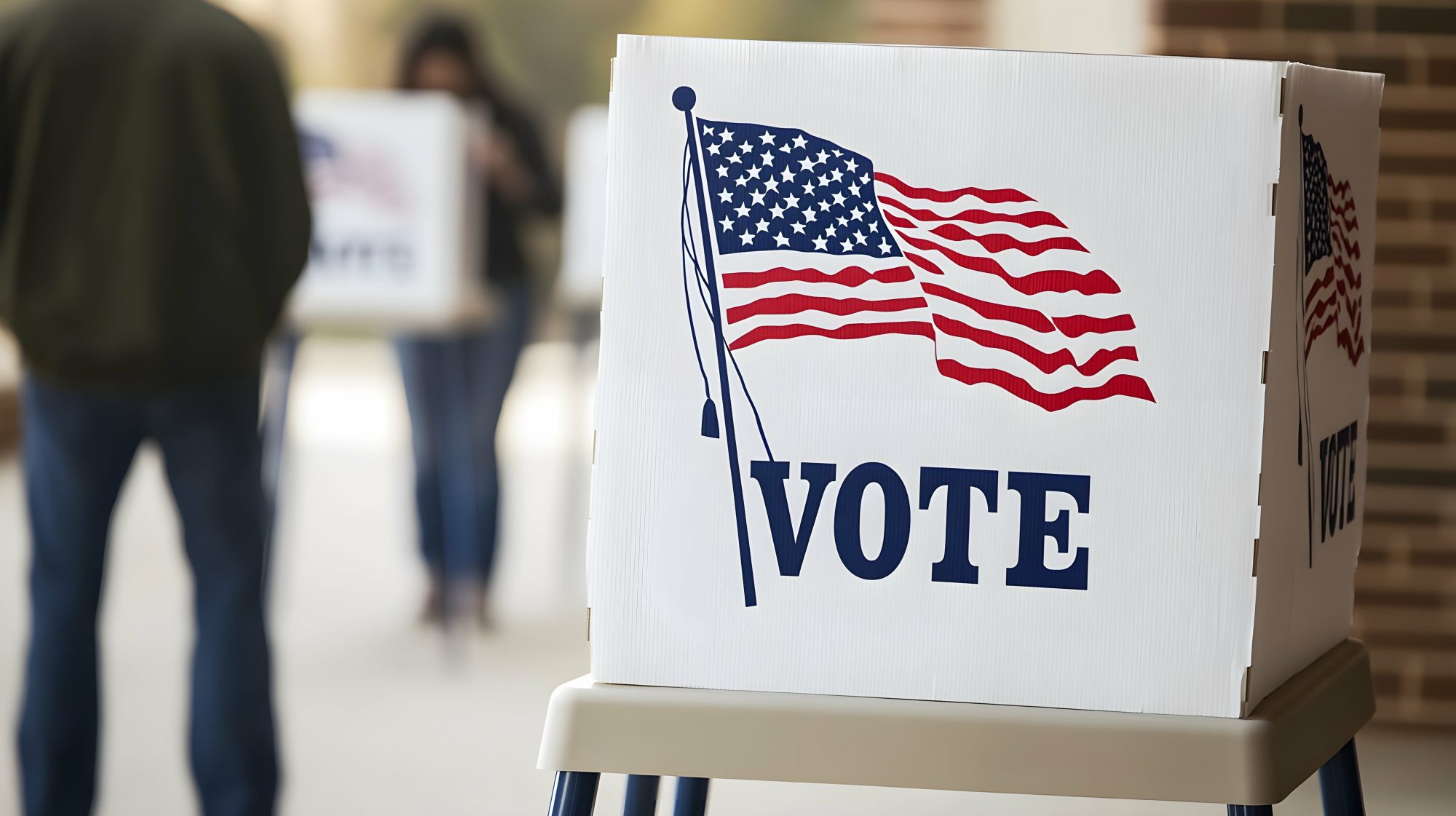 Who Can Vote in the U.S. Presidential Election? | Joseph & Hall P.C ...